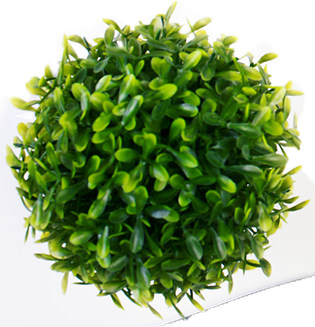 Dynamsoft - An Expert in Document Capture SDKs