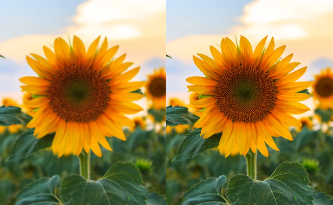 Image Processing 101 Chapter 2.1: Image Enhancement | Dynamsoft Blog