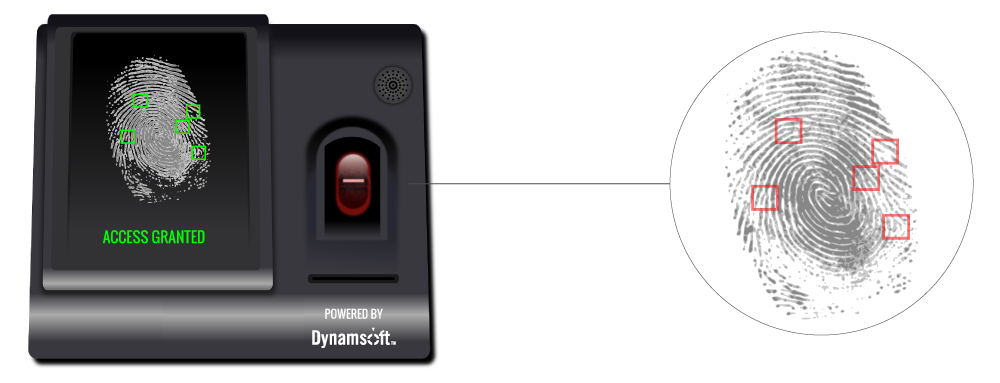 How to Implement Biometric Capture (Fingerprint) into your Application
