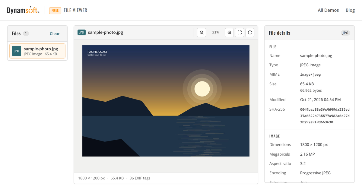 Free Online File Viewer | Dynamsoft Codepool Demo