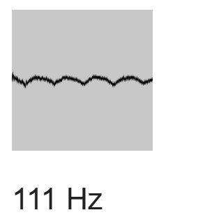 How to Take a Photo with Voice in JavaScript | Dynamsoft Developers Blog