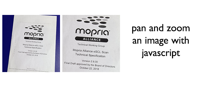 How to Pan and Zoom an Image with JavaScript | Dynamsoft Developers Blog