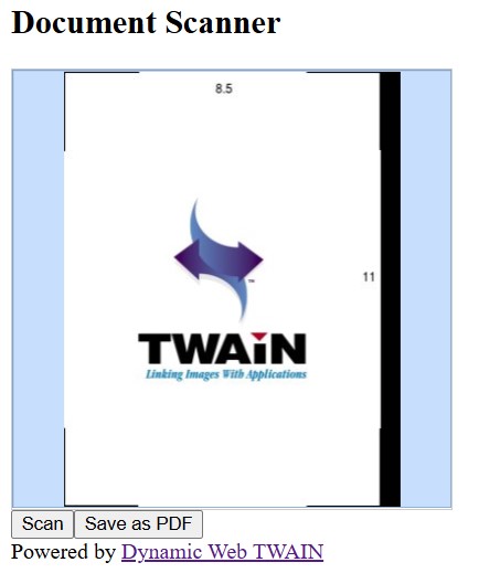 How to Scan Documents in a Nuxt.js App | Dynamsoft Developers Blog