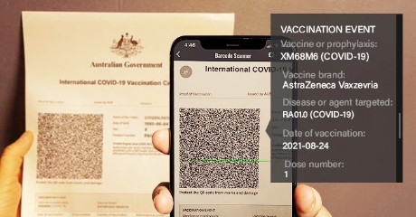 Dynamsoft - Experts in Document Capture and Barcode Reading SDKs