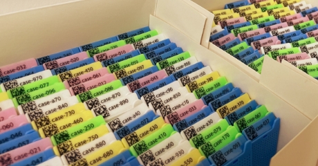 Dynamsoft - Experts in Document Capture and Barcode Reading SDKs